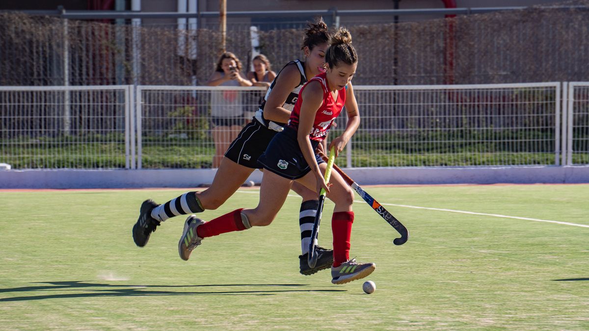 Virginia Torres: Fue un regional positivo, pero no estamos conformes ...