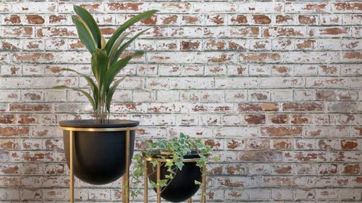 Paredes rústicas que son tendencia en interiores