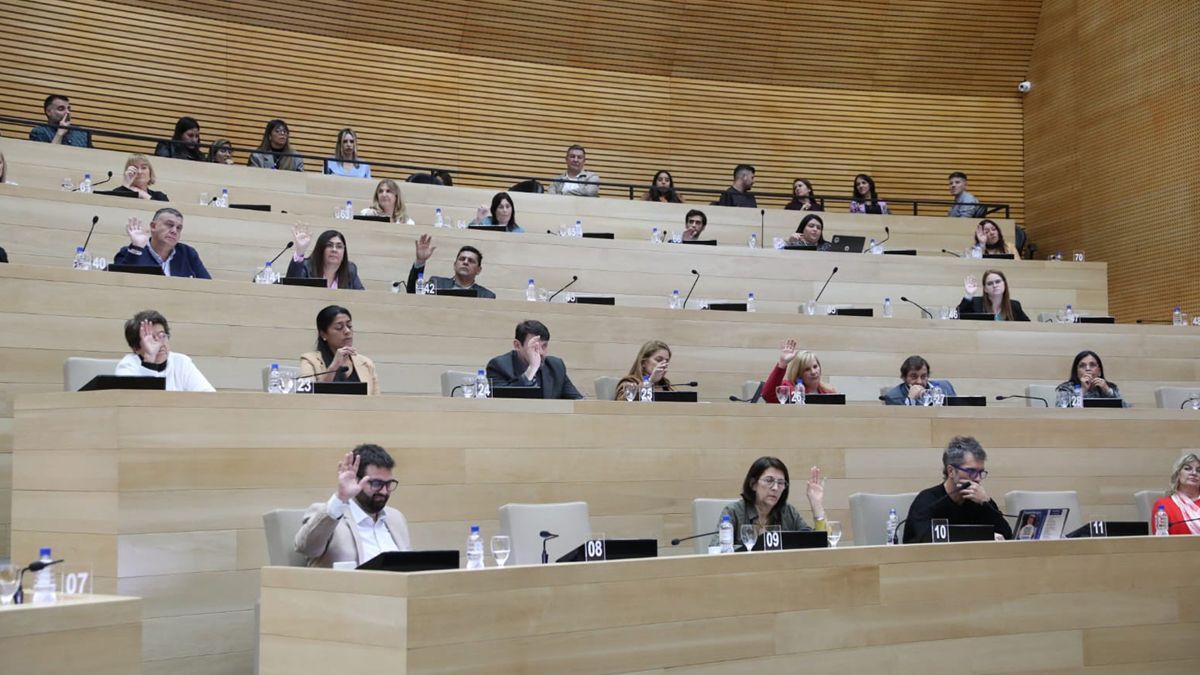 ¿Quiénes son los legisladores que ingresan a la nueva Legislatura ...