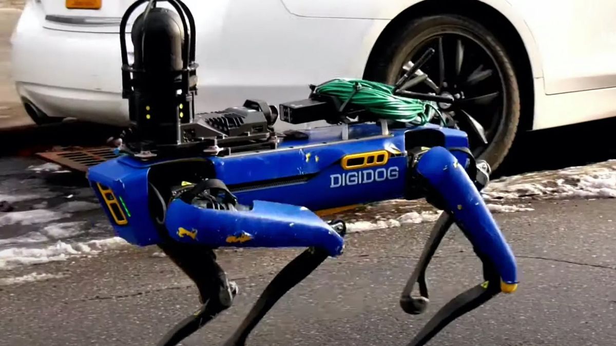 Llegaron los perros robot a Córdoba: cómo funcionan, cuánto cuestan y ...