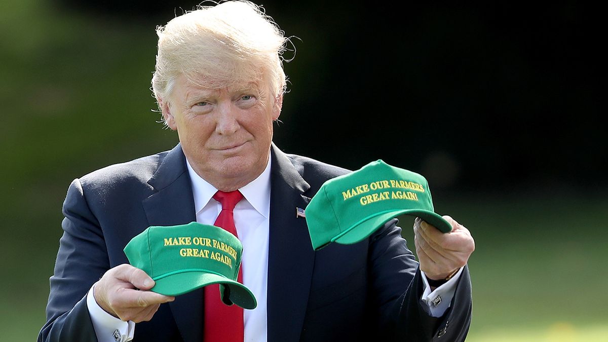 ¿Cisne negro? El impacto de la guerra comercial en los granos argentinos