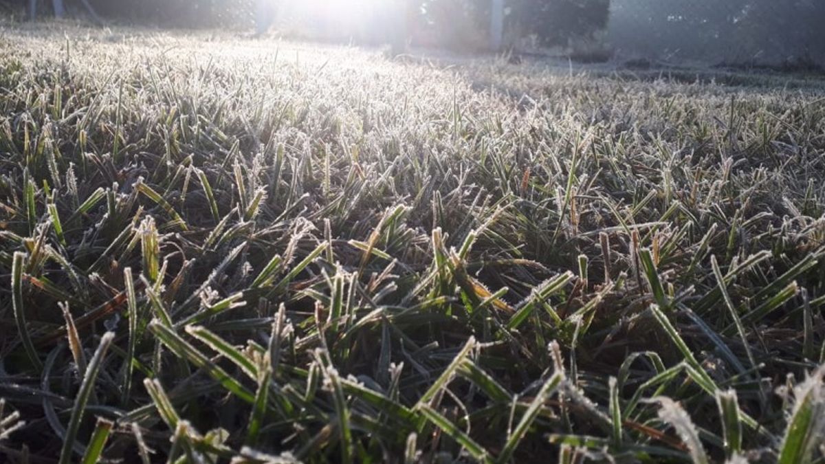 Alerta por la ocurrencia de heladas tardías en la zona núcleo