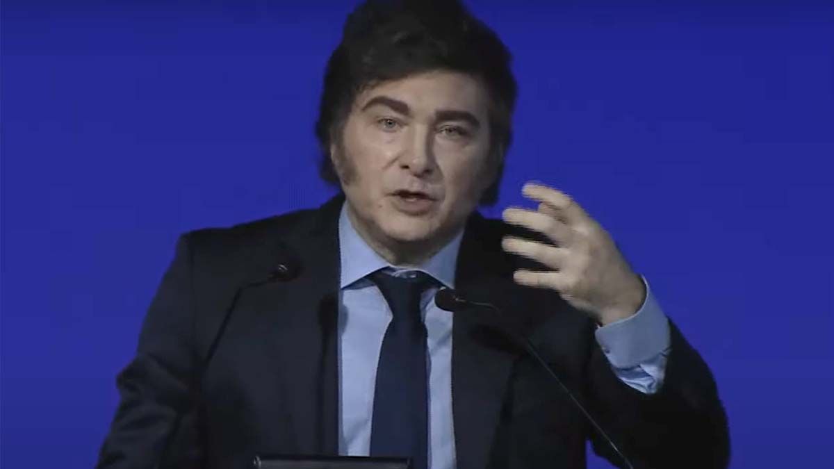 Milei pidió a la Justicia retirarle la custodia a Fabiola Yañez en España