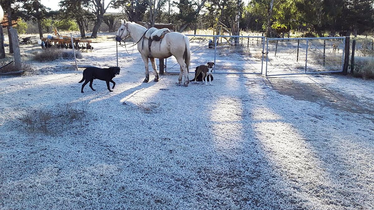 Intensas heladas en el sur provincial con temperaturas de hasta -8º