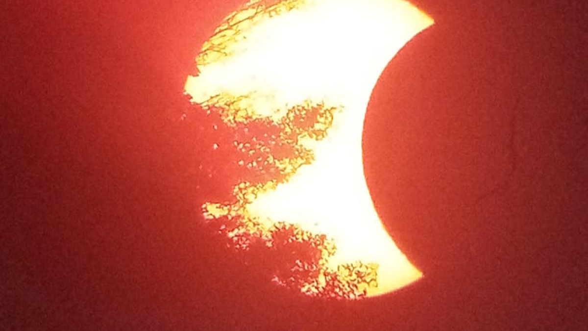 Un Eclipse Parcial De Sol Pudo Observarse Desde La Patagonia
