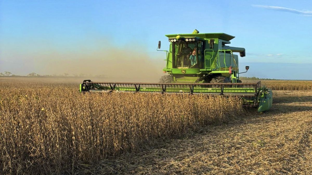 La soja podría llegar a los 421 mil pesos si el dólar alcanza la banda ...