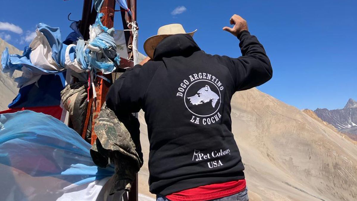 Por primera vez logran el cruce de Los Andes con la raza nacional dogo ...