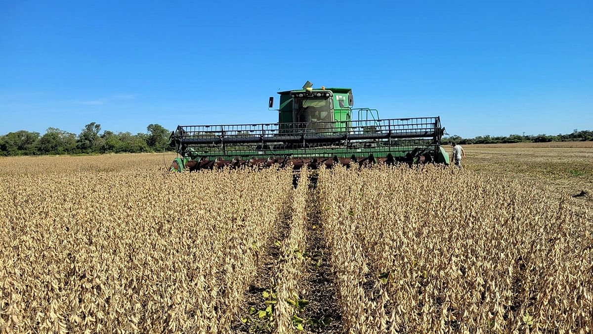 La soja a menos de US$500: ¿inicia un ciclo con menores precios?