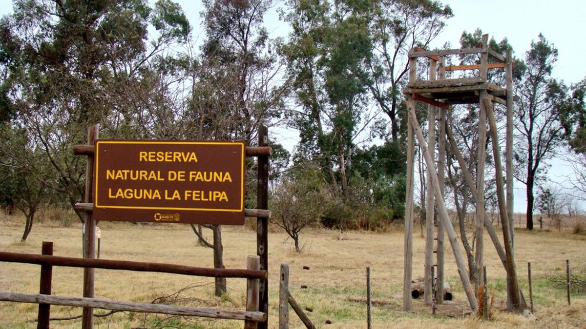 La Provincia hará obras para poner en valor la reserva La Felipa