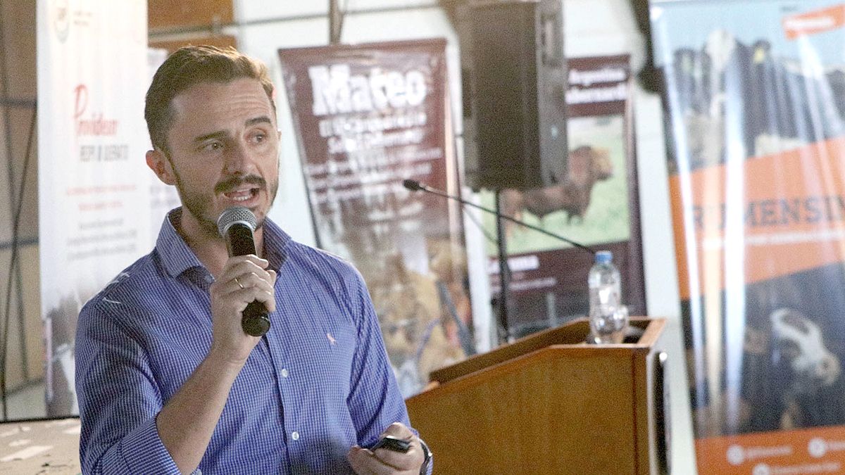 Ganadería y contaminación: Se crean grandes mentiras sobre pequeñas ...