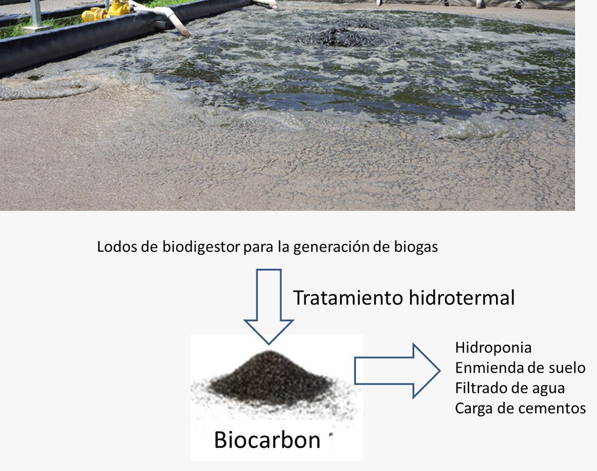Con carbonización hidrotermal, científicos procesan lodo residual para un uso sanitario y agrícola
