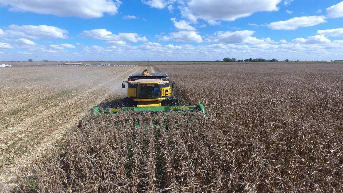 La Región Centro argentina lidera las exportaciones agroindustriales ...