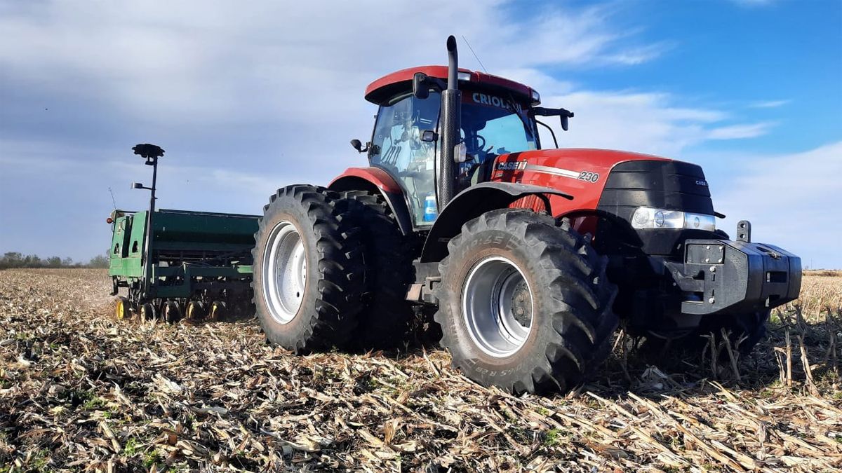 Trigo: se invertirán US$ 345 millones en la provincia