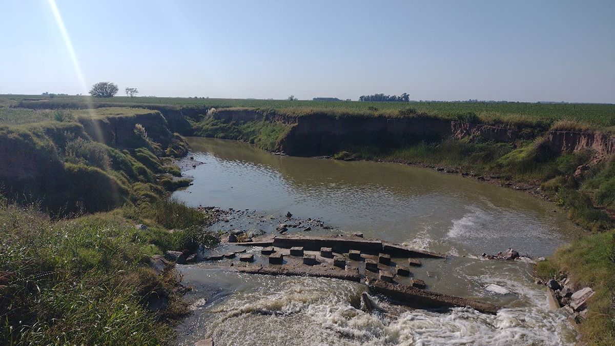 Arrancó el plan de gestión en la Reserva La Felipa e invitan a los ...
