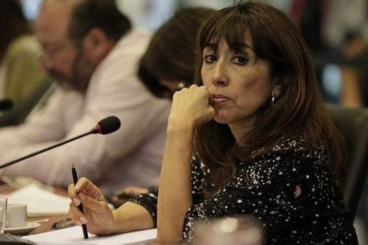 Anulan resolución que consideró a la UCR segunda minoría en Diputados ...