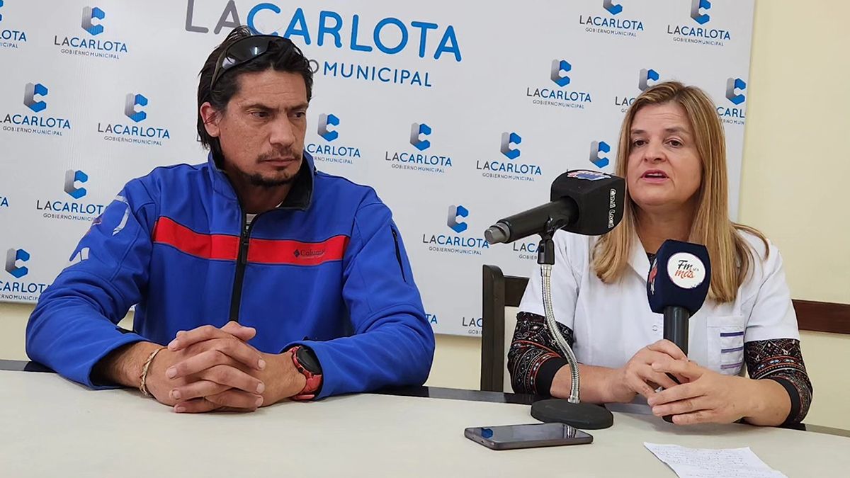La Carlota: instan a la vacunación equina y fumigan ante casos de encefalomielitis
