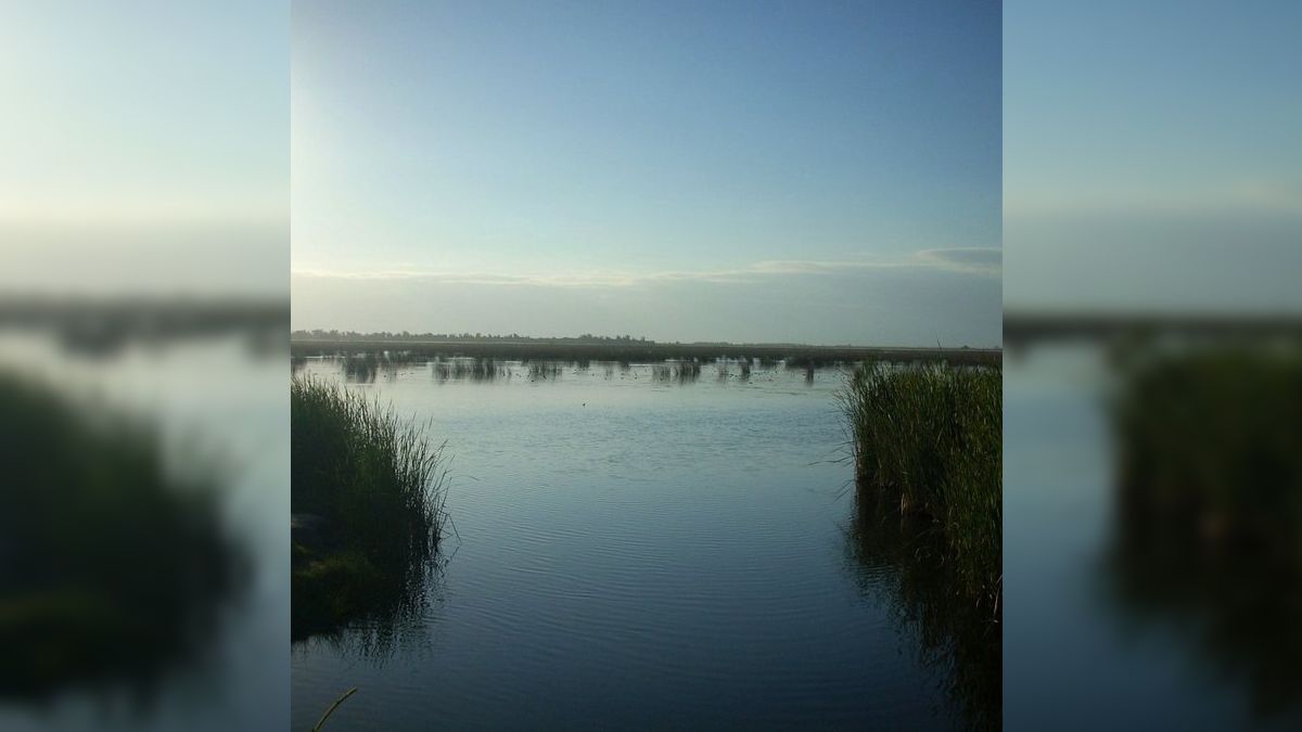 La Felipa: desde la UNRC ya desarrollan estudios sobre biodiversidad en ...