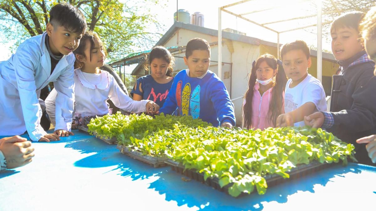 El plan Escuelas Verdes ya lleva la educación ambiental a 62 colegios