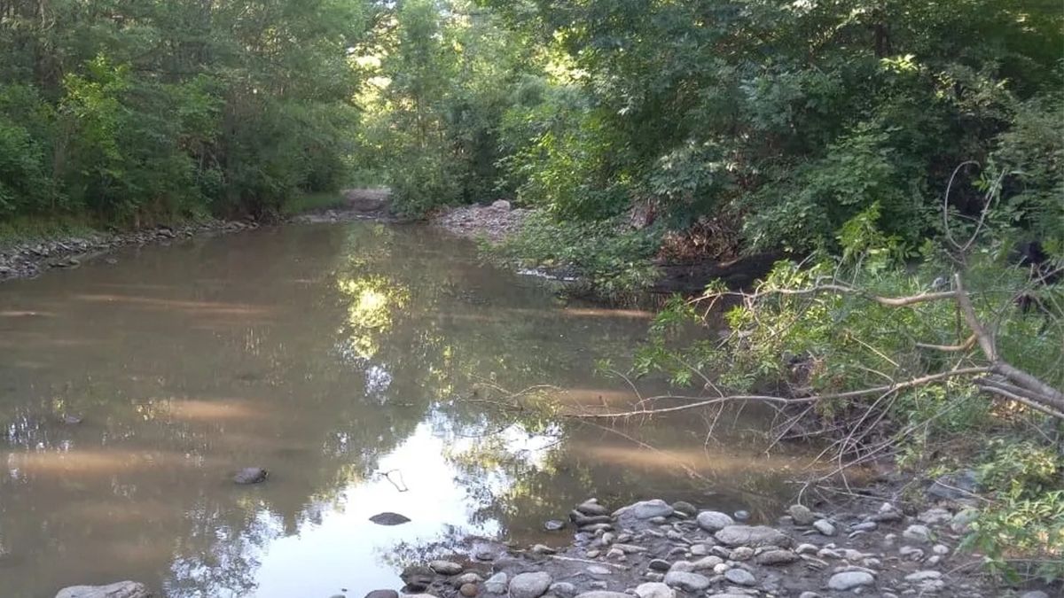 Con escaso caudal de agua, Río de los Sauces pidió uso racional ante la ...