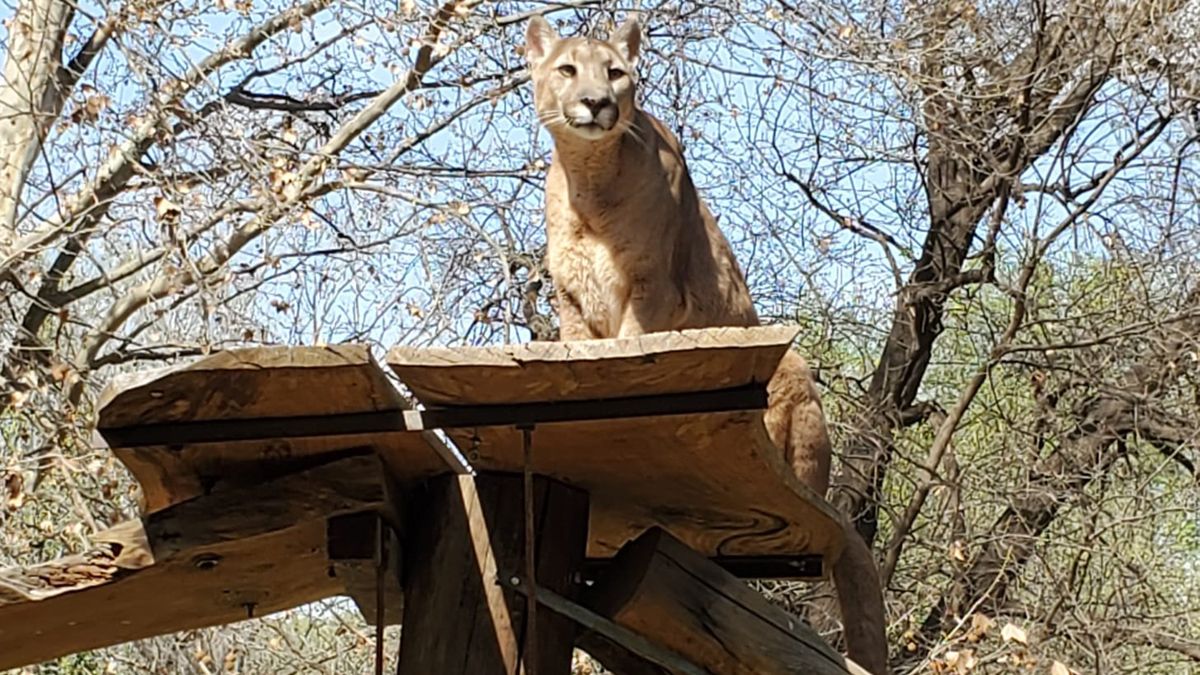 El Parque Ecológico, destacado a nivel nacional, cumple 30 años