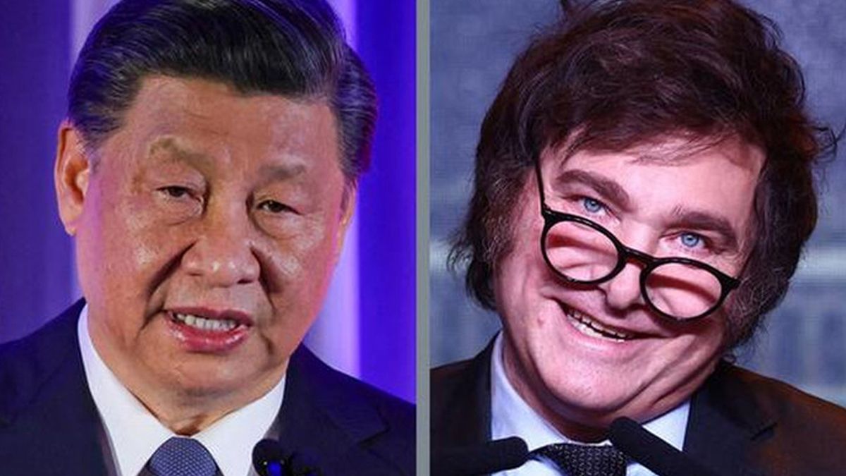 Milei se reúne hoy con Xi Jinping en el marco de la cumbre del G20 en ...